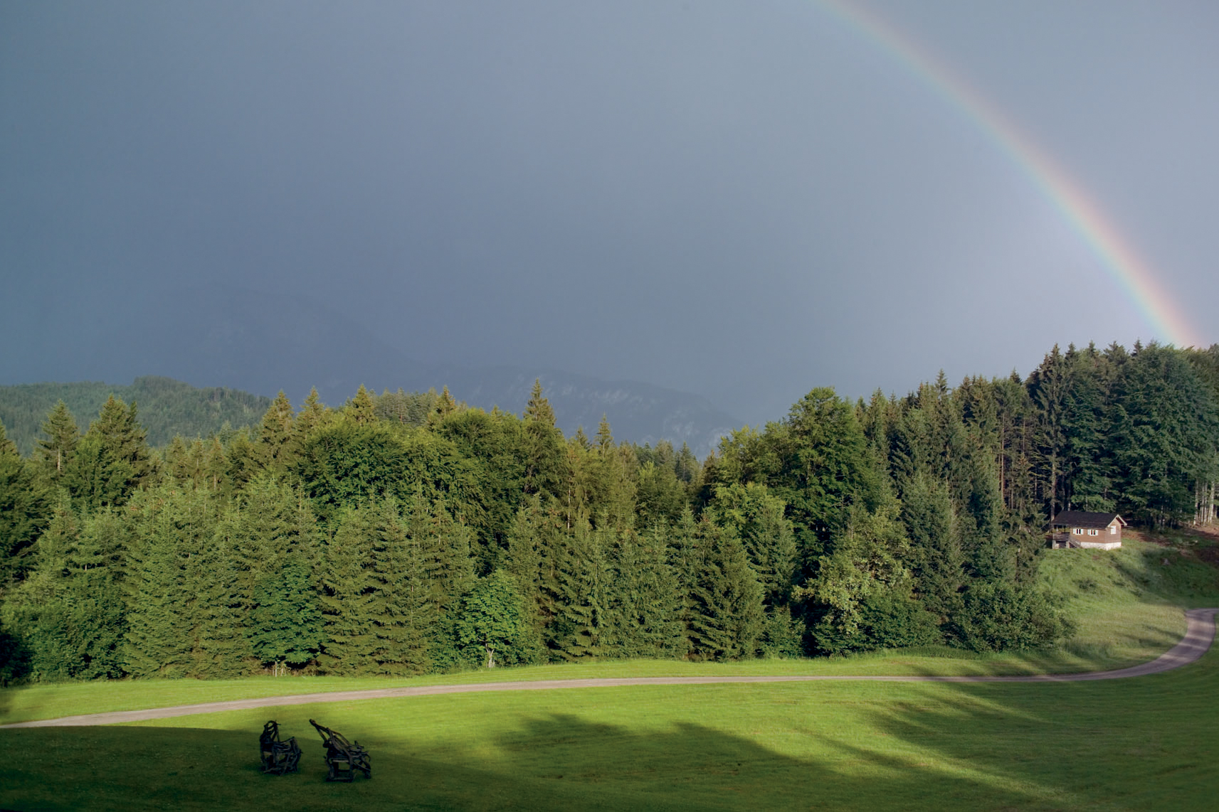 Wild Emperor | Wilder Kaiser | rolfsachs.com