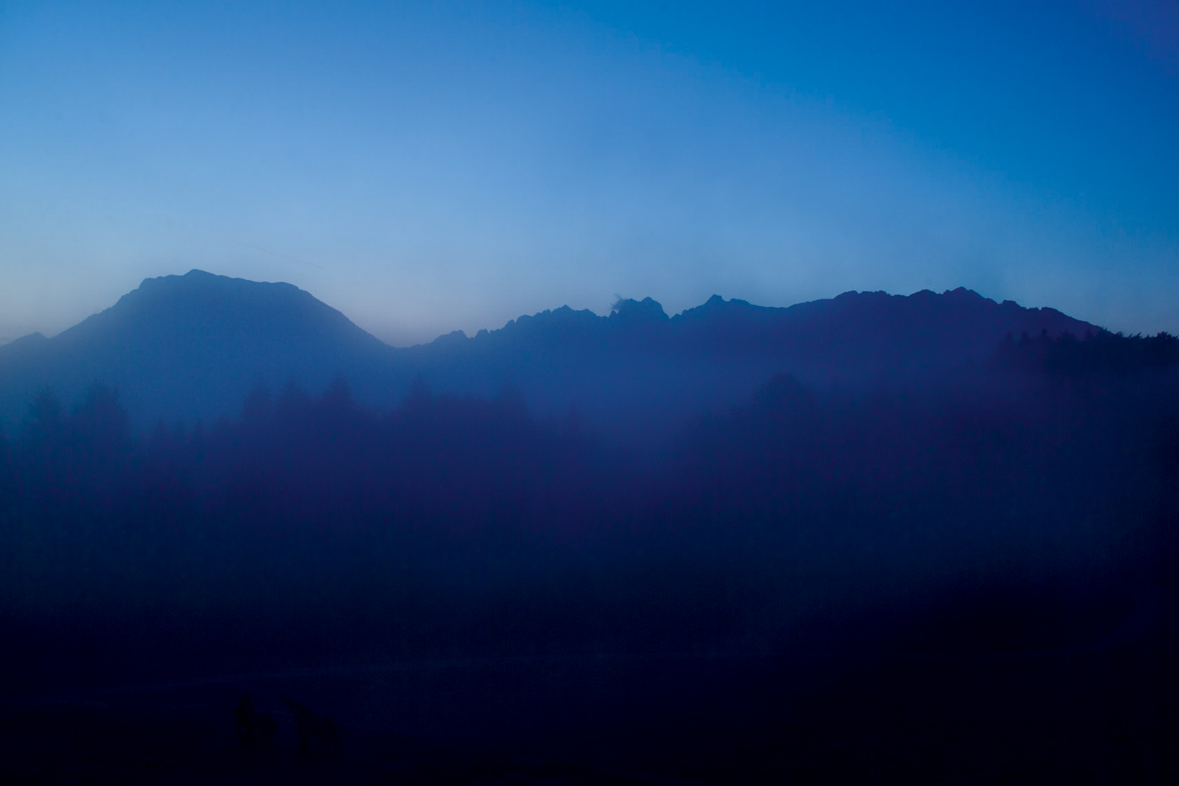 Wild Emperor | Wilder Kaiser | rolfsachs.com