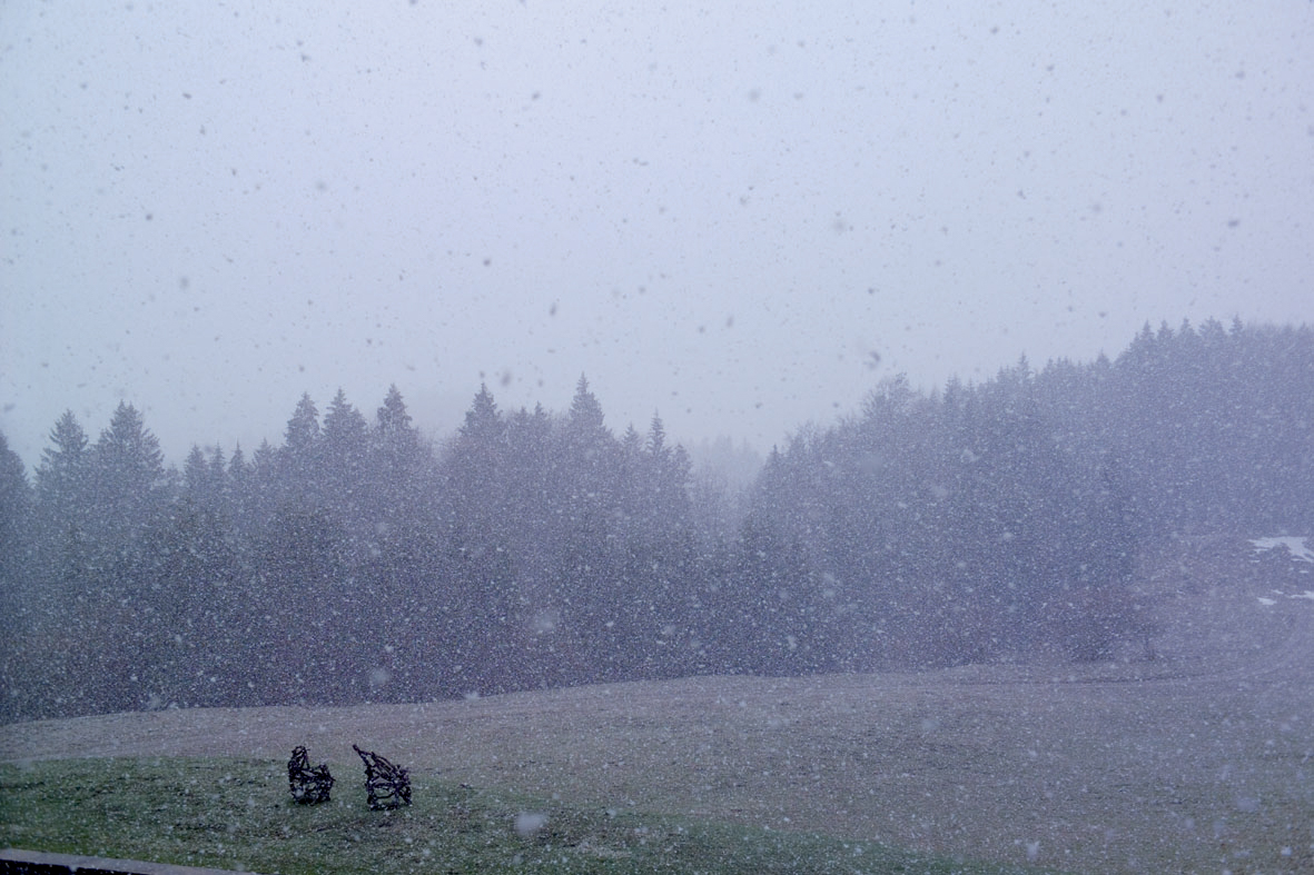 Wild Emperor | Wilder Kaiser | rolfsachs.com